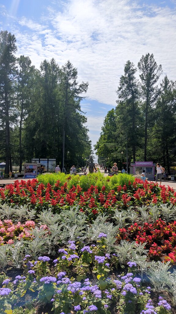 Anıt, heykel Г.М. Вицин, Zelenogorsk, foto