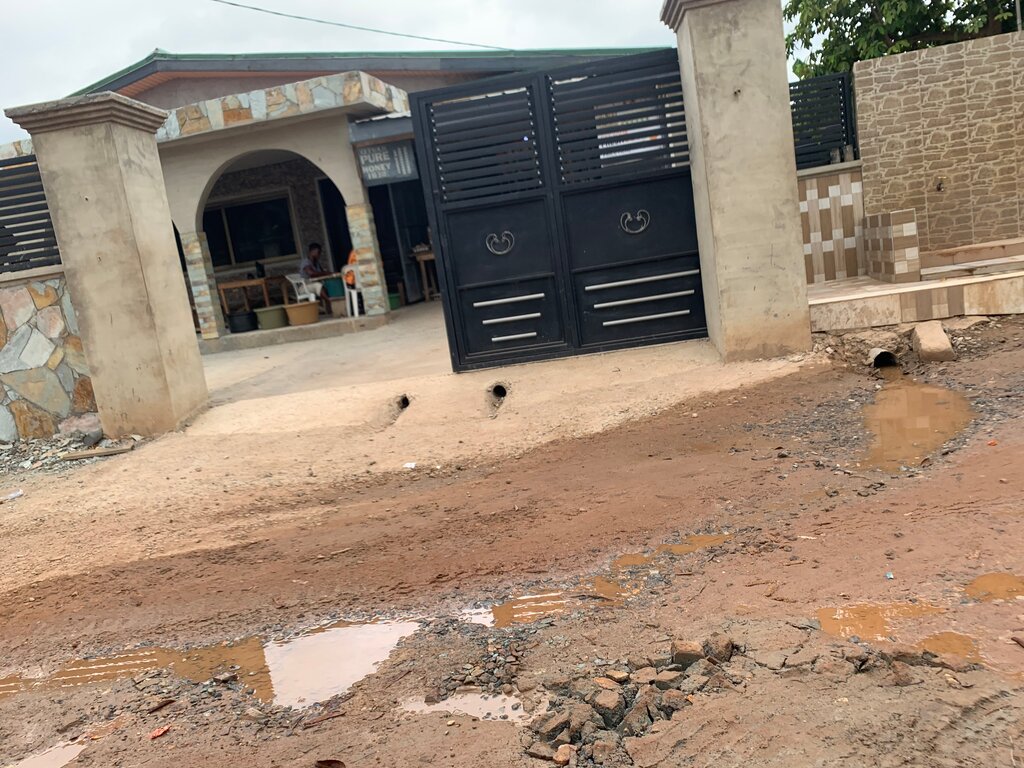 Kanatlı hayvan ürünleri ve yumurta Maame’s Provisions and Eggs, Dünya, foto