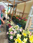 Farmers' market (Perm Territory, Kungur, mikrorayon Zasylva), pazarlar ve çarşılar  Kungur'dan