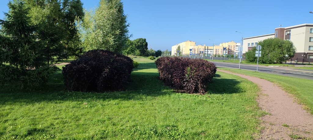 Yazlık ev inşaatı Sad vremeni, ofis prodazh, Peterhof, foto
