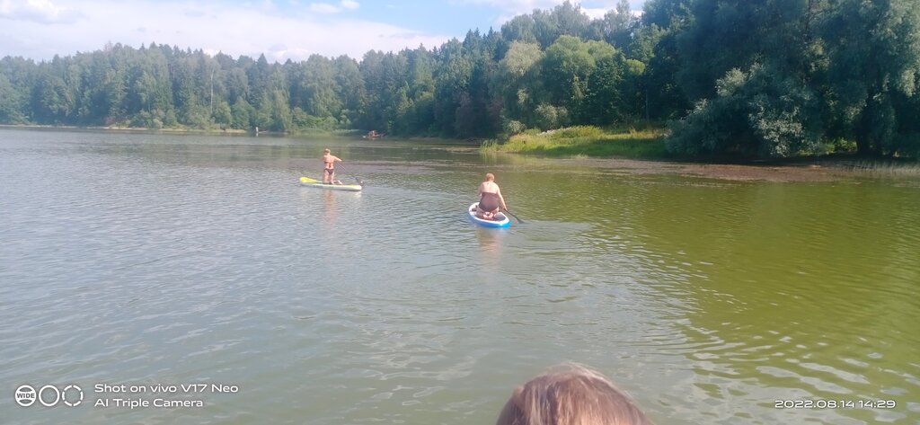 Plaj Beach, Moskova ve Moskovskaya oblastı, foto