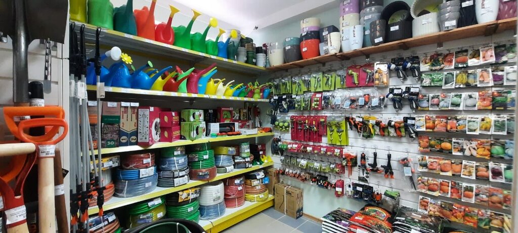 Tohum satan yerler Centr sadovoda, Tuymazy, foto