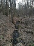 Spring, stream (Moscow Region, Kashira Urban District, Gorodskoy park), pınar, çay  Moskova ve Moskovskaya oblastından