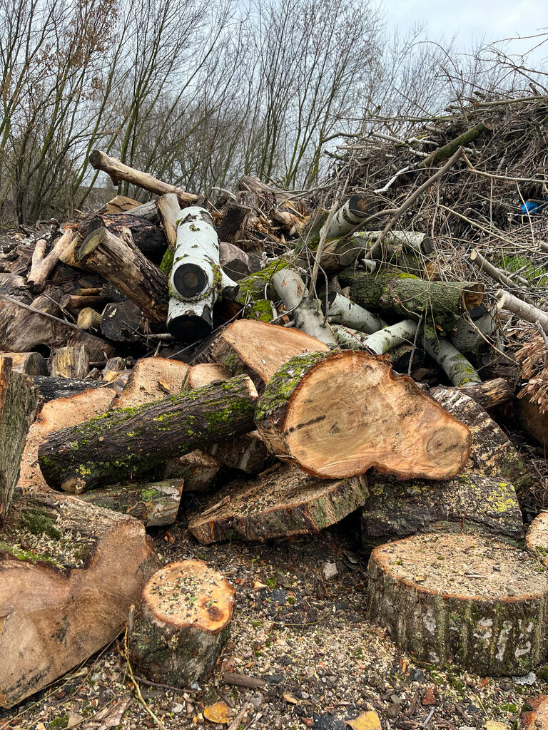 Yakıt firmaları DrovaKursk, Kurskaya oblastı, foto