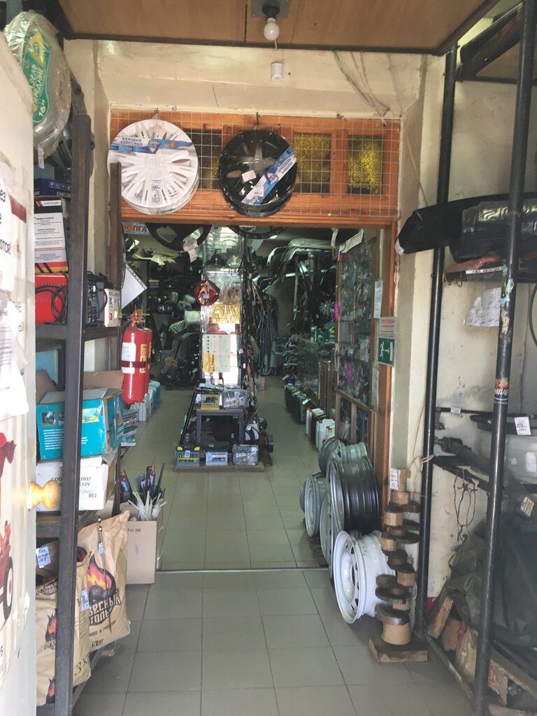 Otomobil yedek parçaları Gazinzhektor, Saransk, foto