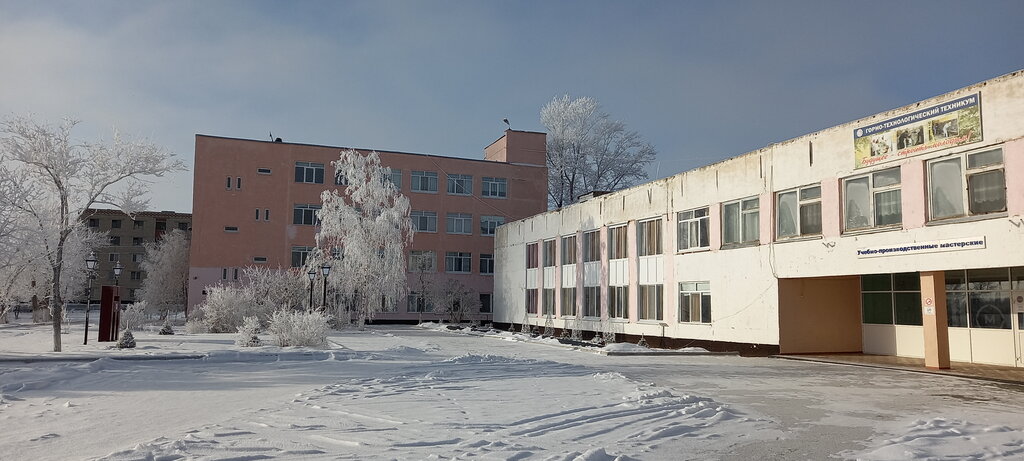 Meslek yüksekokulu Gorno-tekhnologichesky tekhnikum, Yasny, foto