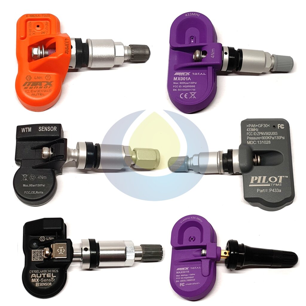 Uzman hizmetleri Wtm Global Co., Tpms Specialist, Minsk, foto