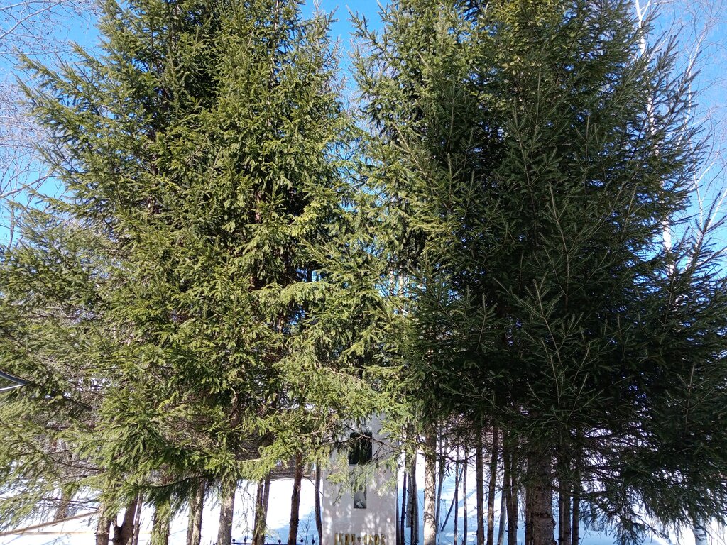 Anıt, heykel Походу Ермака, Çusovoy, foto