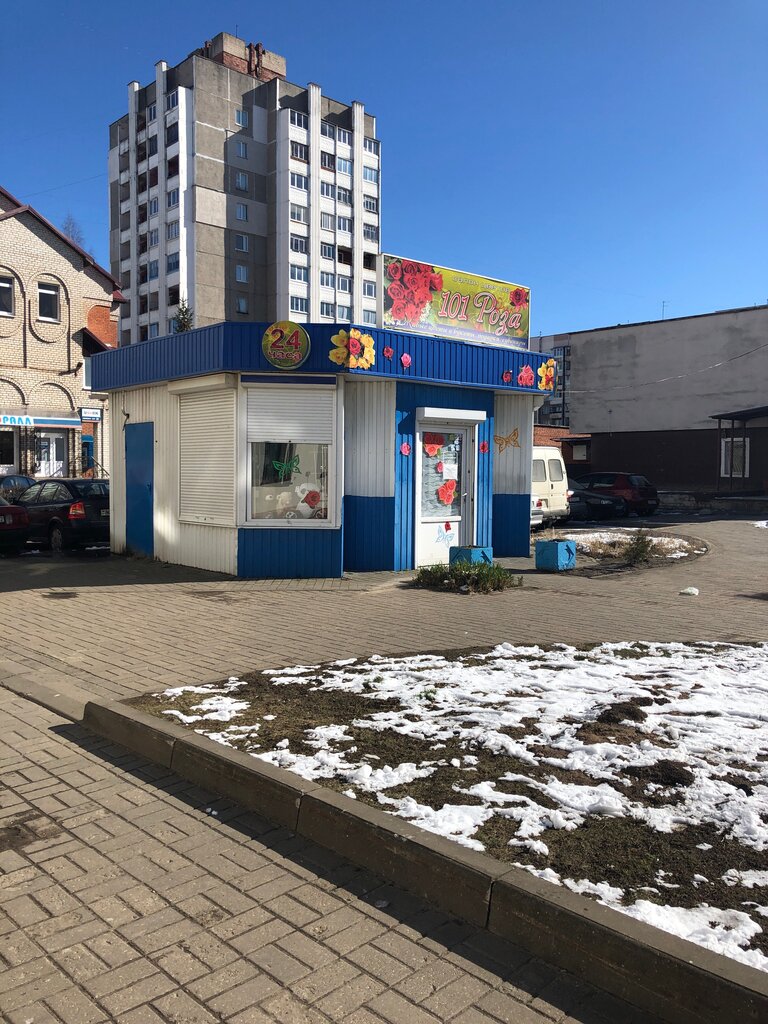 Çiçekçiler Ивона, Navapolatsk, foto