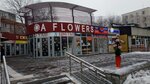 A flowers (No:11А, 6th microdistrict), çiçekçiler  Almatı'dan