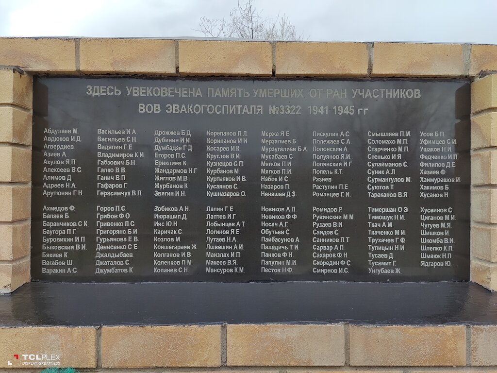 Anıt, heykel Братская могила, Sol‑İletsk, foto