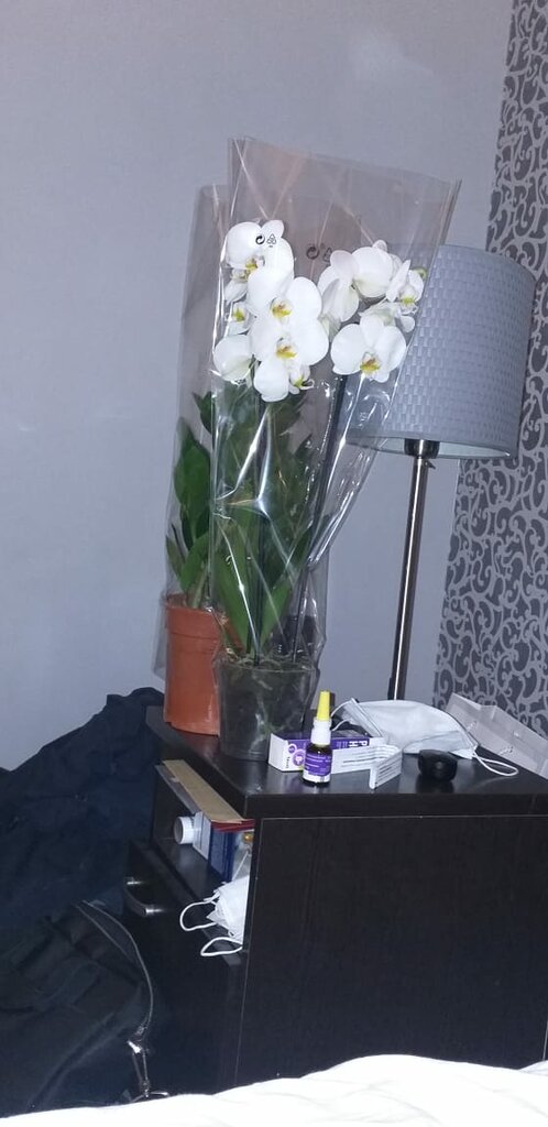 Bar Beer'ka & Pab, Çeliabinskaya oblastı, foto