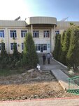 Hissar Central Geological Exploration Expedition (Ipak Yuli Street No:9), jeoloji, jeofizik  Şehrisebz'den