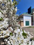 Гостевой дом на Полевой (Polevaya ulitsa No:17), konuk evi  Yeysk'ten
