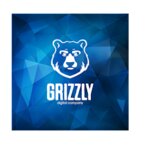Grizzly Digital Company (Marjewskaja Street No:7А), i̇nternet pazarlama şirketi  Minsk'ten