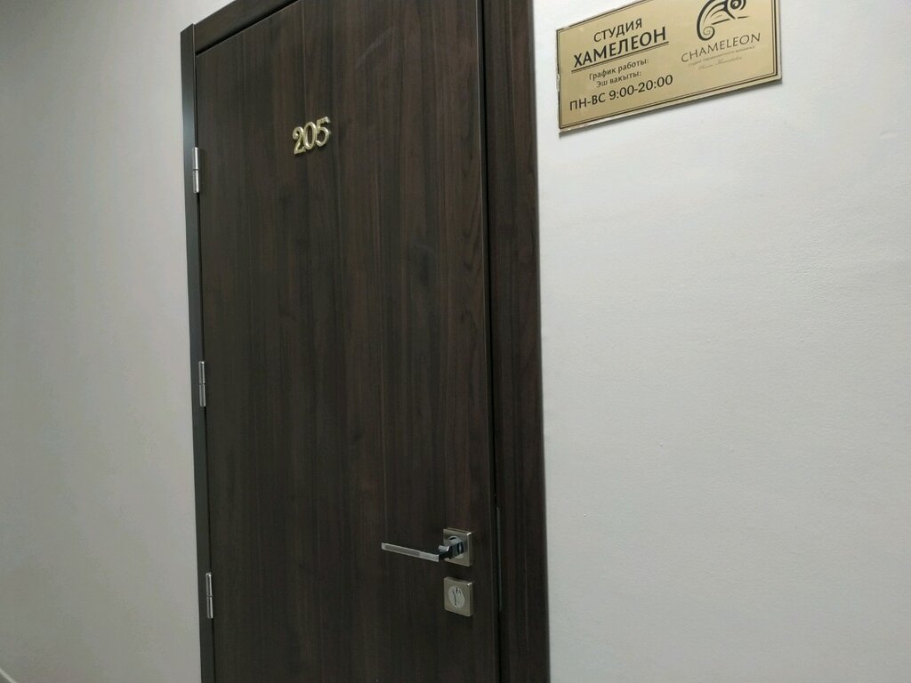 Kozmetoloji, kozmetik salonları Studio Chameleon, Kazan, foto