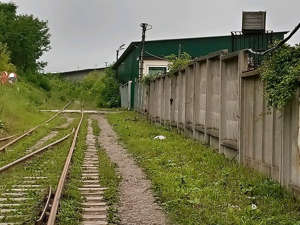 Otomobil yedek parçaları ДальЗИП, Vladivostok, foto
