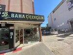 Baha Çiçek (Adana, Saimbeyli, Fatih Mah., Kozan Cad., 18), çiçekçiler  Saimbeyli'den
