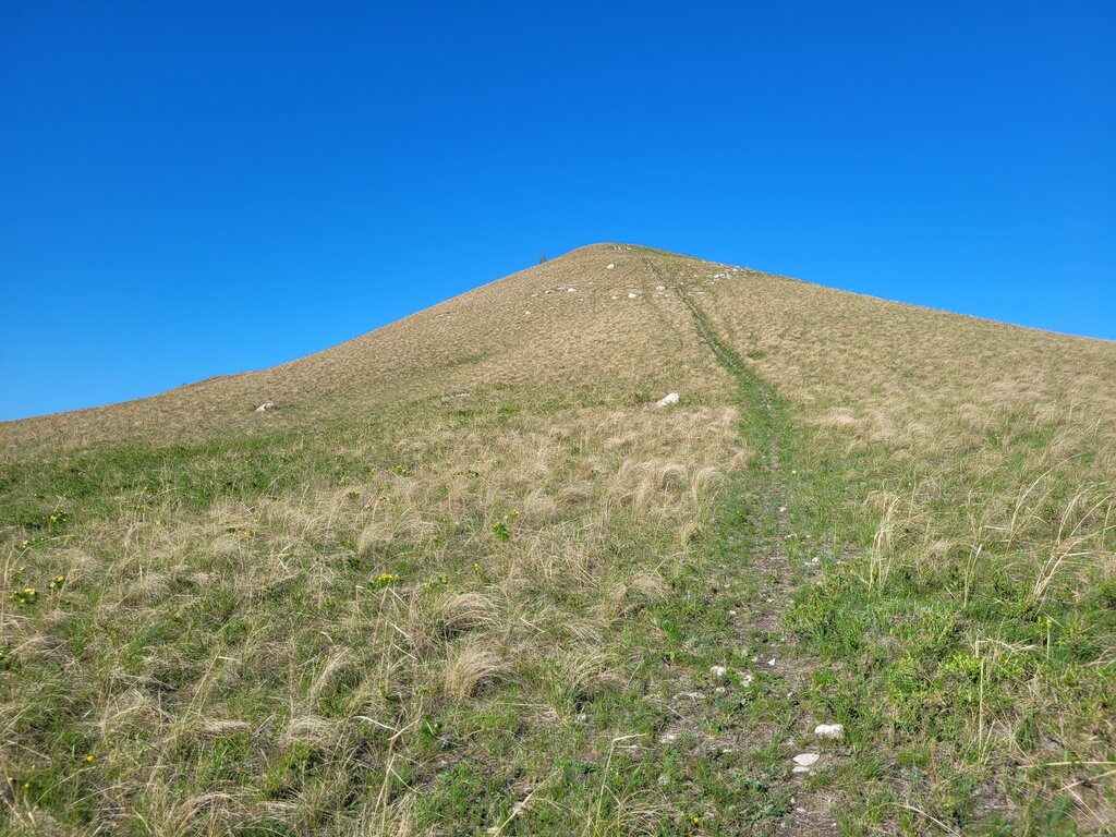 Dağ zirvesi Гора Лысая, Başkurdistan, foto