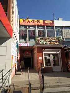 Старый дом (Revolyutsionnaya Street No:28), kafe  Tolyatti'den (Togliatti'den)
