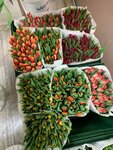 Sara Rose (Belorusskaya ulitsa No:95Б), çiçekçiler  Samara'dan