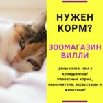 Вилли (No:26, derevnya Maloye Karlino), petshop  Saint‑Petersburg ve Leningradskaya oblastından