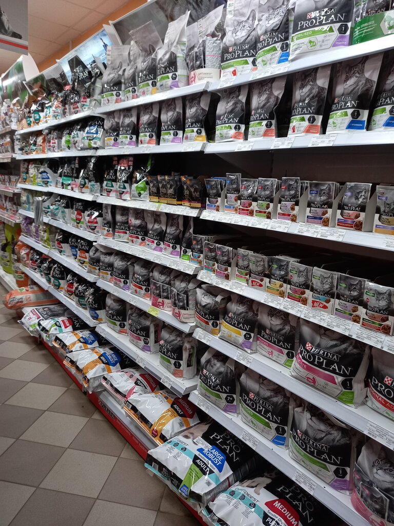 Petshop Zoogalereya, Naro‑Fominsk, foto