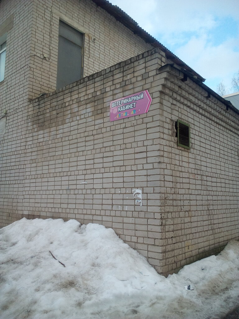 Veteriner klinikleri Четыре лапы, Kotlas, foto
