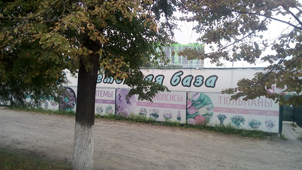 Çiçekçiler Tsvetochnaya baza, Orel, foto