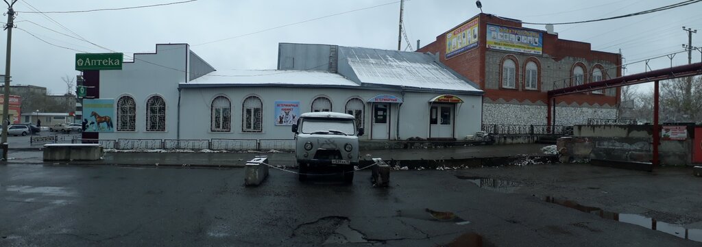 Veteriner klinikleri Avicenna, Sayanogorsk, foto
