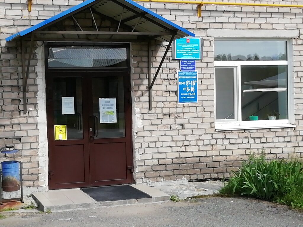 Veteriner klinikleri Alapaevskaya wind farm, Alapayevsk, foto