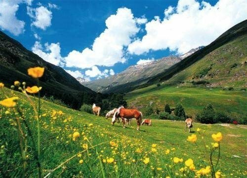 Otel Haus Wiesenblick, Tirol, foto