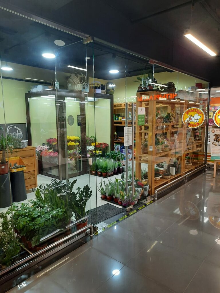Çiçekçiler Honey and clover, Puşkino, foto