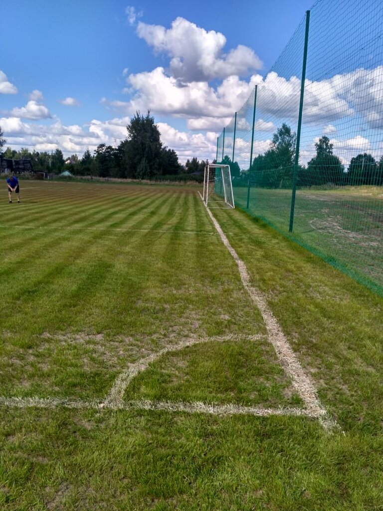 Spor alanı Футбольное поле, Moskova ve Moskovskaya oblastı, foto