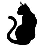 Wood Filler (1st Kuryanovsky Drive No:12с1), petshop  Moskova'dan