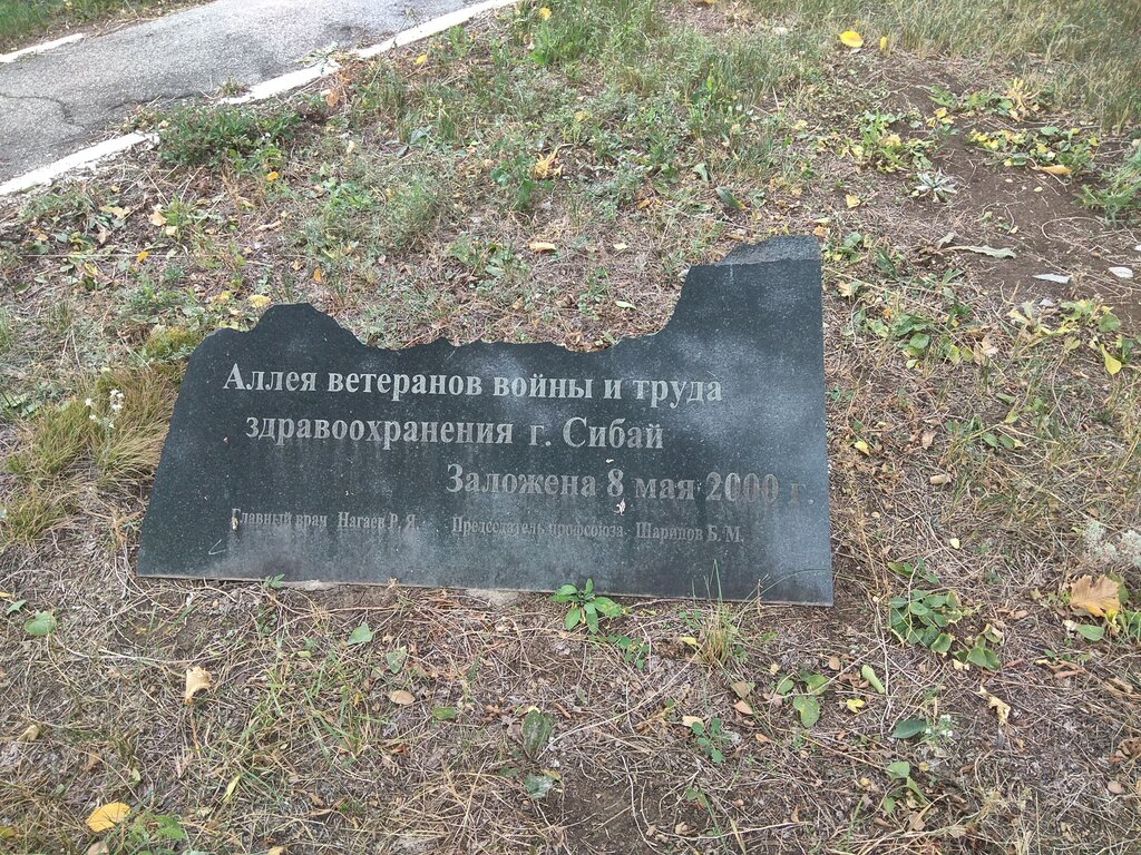 Anıt levhası, anıt taş Аллея ветеранов войны и труда здравохранения, Sibay, foto