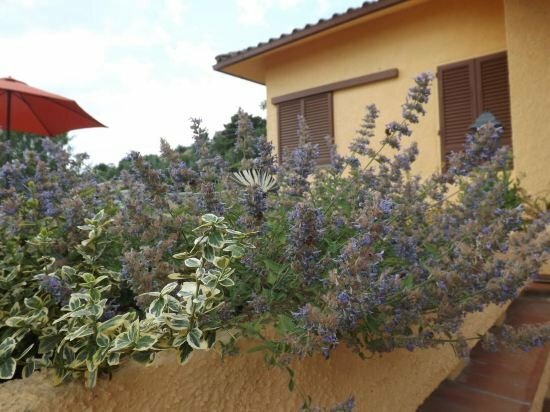 Otel Rifugio Al Sole, Toskana, foto