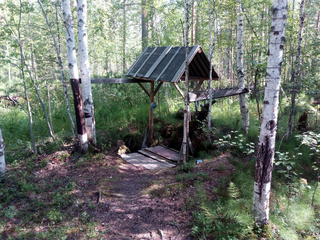Pınar, çay Батуринский родник, Tomskaya oblastı, foto