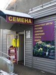 Фиалка (ulitsa imeni Yu.A. Gagarina No:98), tohum satan yerler  Troitsk'ten