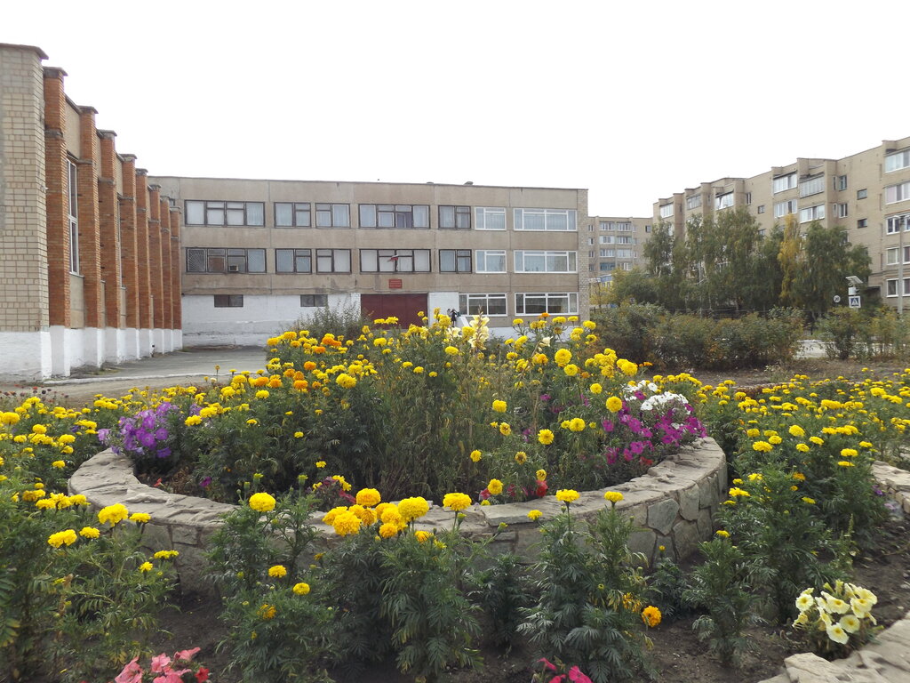 Fen lisesi, sosyal bilimler lisesi Gymnasium of Mednogorsk, Mednogorsk, foto