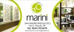 Ottica Marini (Via Giovanni Pascoli No:29, Savignano Sul Rubicone, San Mauro Pascoli), optik cihazlar ve ekipmanlar  Emilia‑Romagna'dan