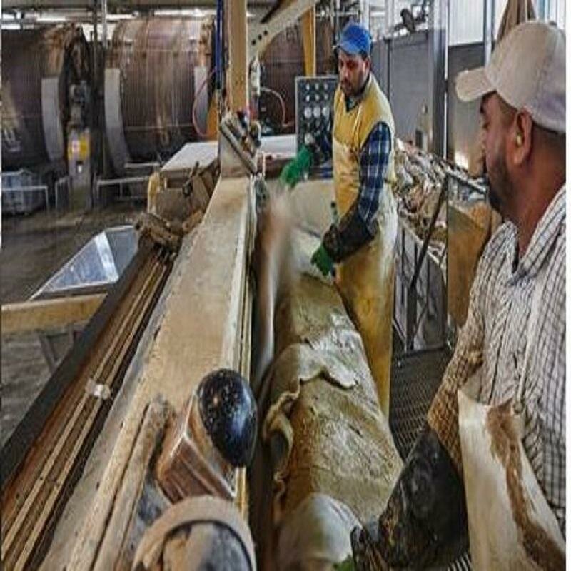 Kürk ve deri giyim mağazaları 3c Lavorazione Pelli, Dünya, foto