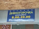 Дивногорочка (ulitsa Gidrostroiteley No:2), market  Divnogorsk'tan