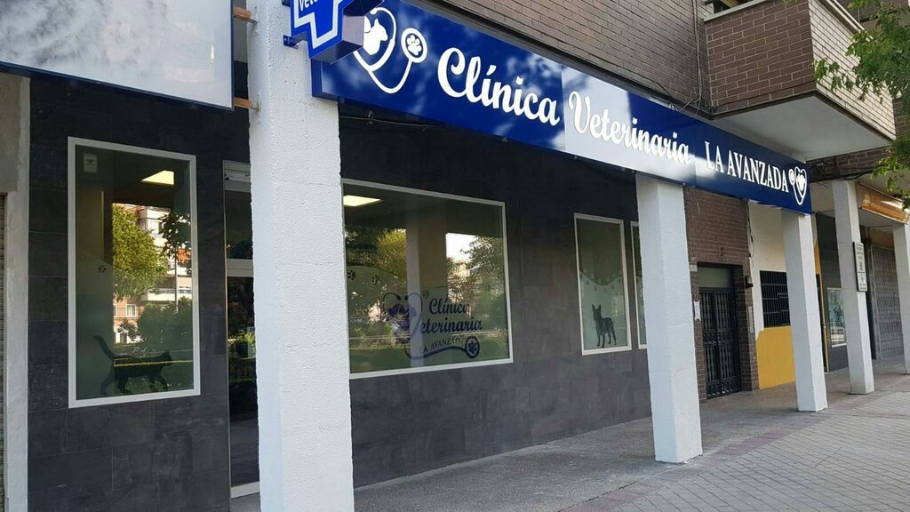 Veteriner klinikleri Clínica Veterinaria La Avanzada, Madrid, foto