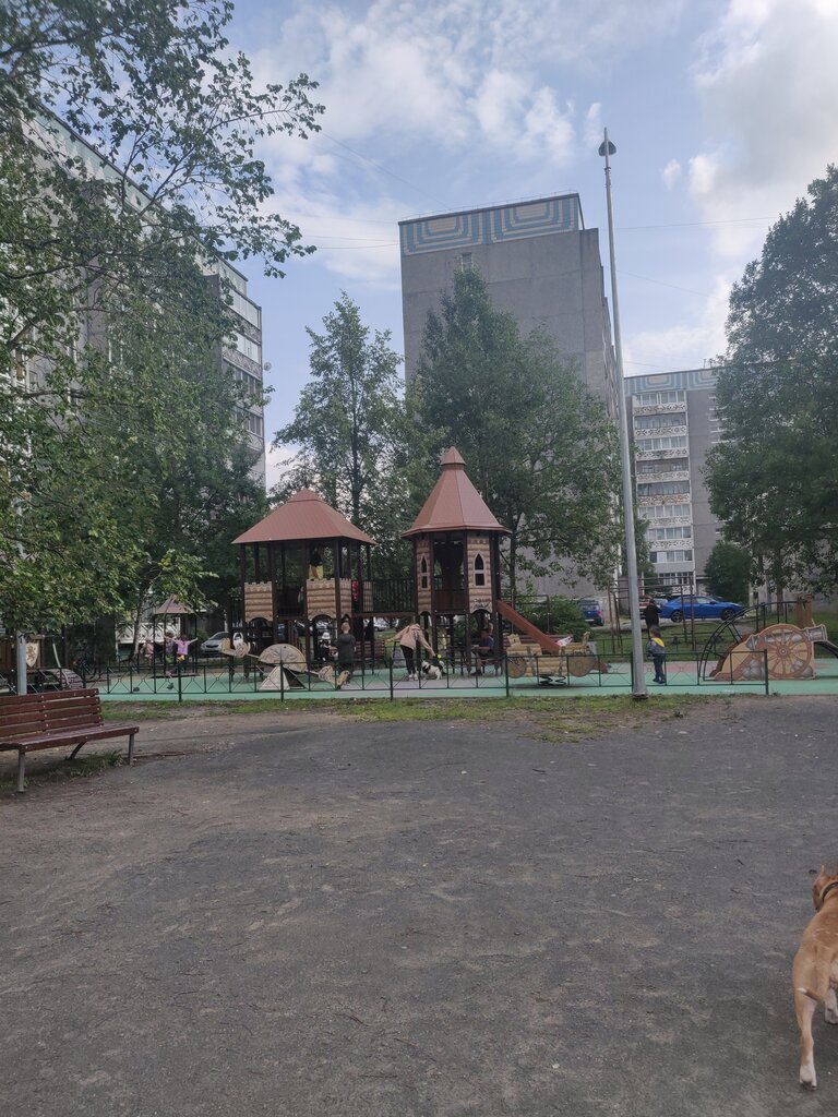 Oyun alanı Детская площадка Крепость, Petrozavodsk, foto