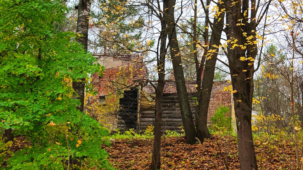 Turistik yerler Дача Панфилова, Pavlovsk, foto