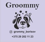 Groommy (vulica Ardžanikidze No:5), evcil hayvan kuaförleri  Borisov'dan