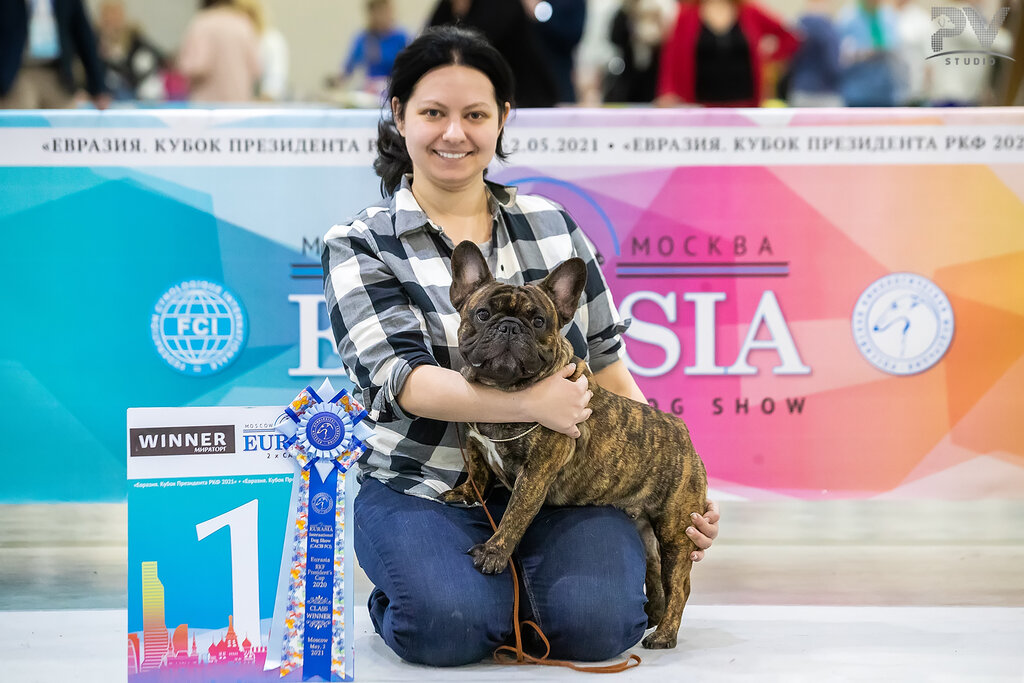 Evcil hayvan yetiştiricileri Cinq Etoiles D'or, Moskova, foto