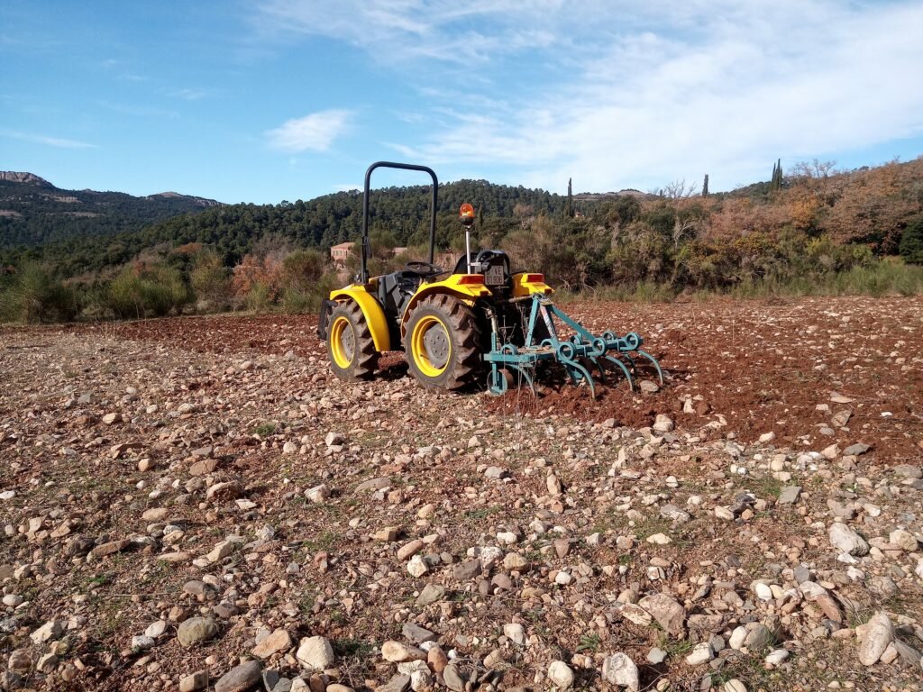 Orman işleri Jardins Oriol, Katalonya, foto