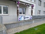 Lalala.by (Alibiegava Street No:22), çiçek teslimatı  Minsk'ten